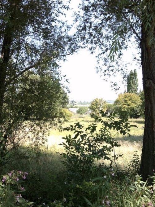 Soignez vos arrière-plans ! – Et si je vous prenais par les sentiments